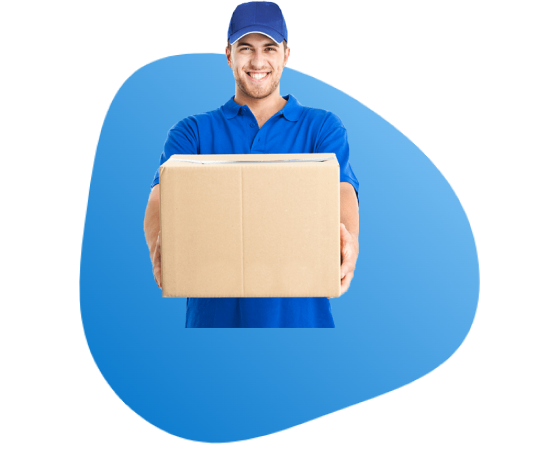 Solid Global Solution